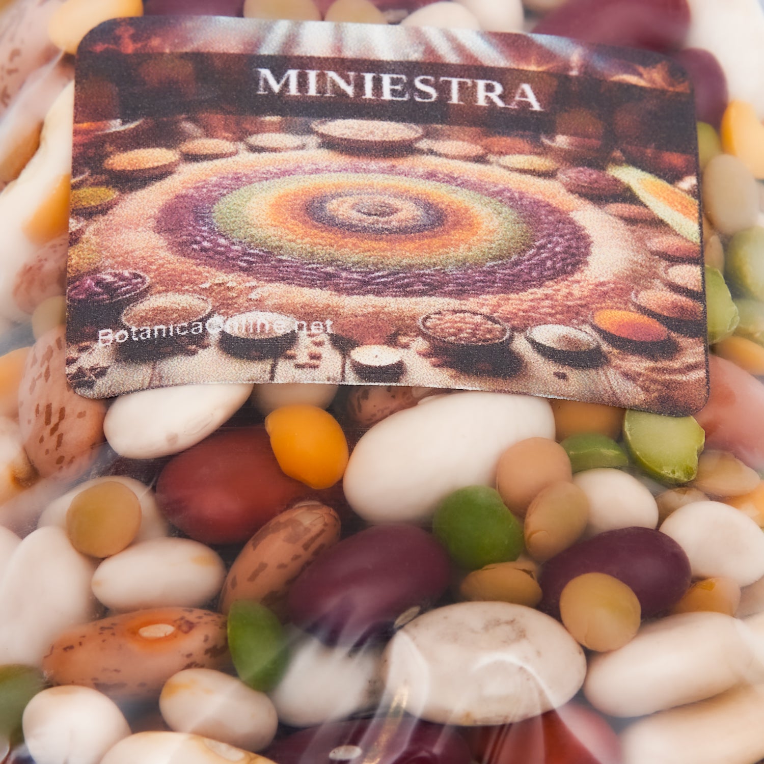 Miniestras