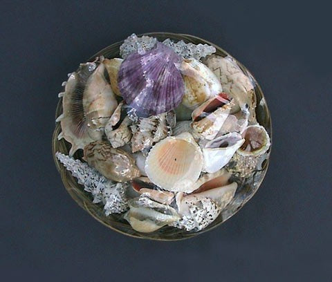 Shell basket Olokun Medium 10\\" X 4\\"