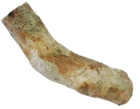 Stick Jupiter 5\\" - 6\\" Aprox.