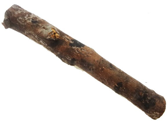 Stick Malambo 5\\" - 6\\" Aprox.