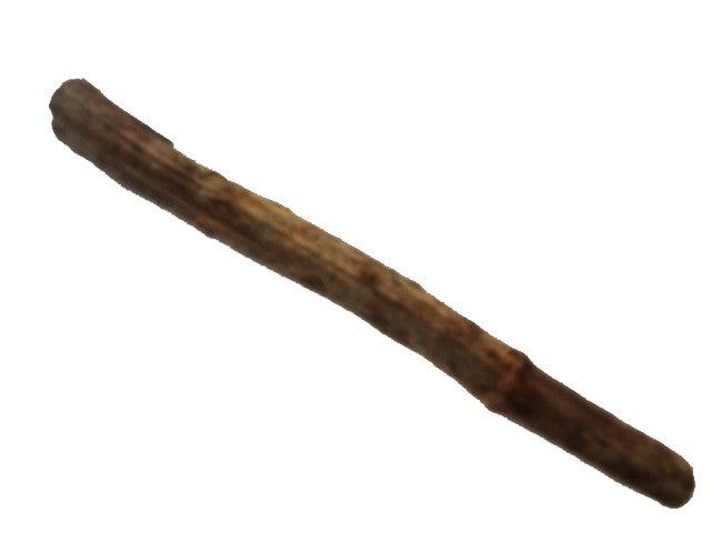 Stick Sauco 5\\" - 6\\" Aprox.