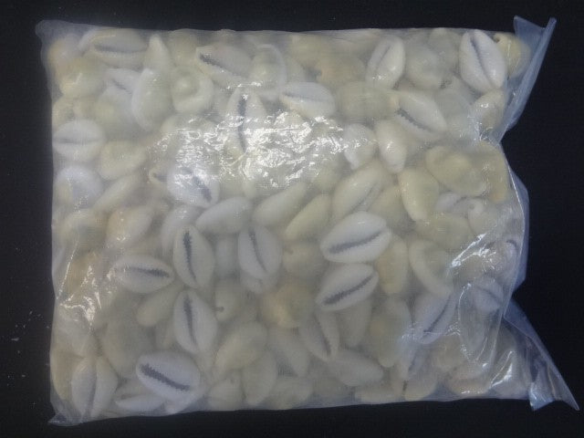 Closed (Uncut) Cowry Shells package 1 pound