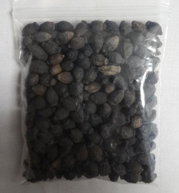 Red Wonder Seed 0.2 oz pack