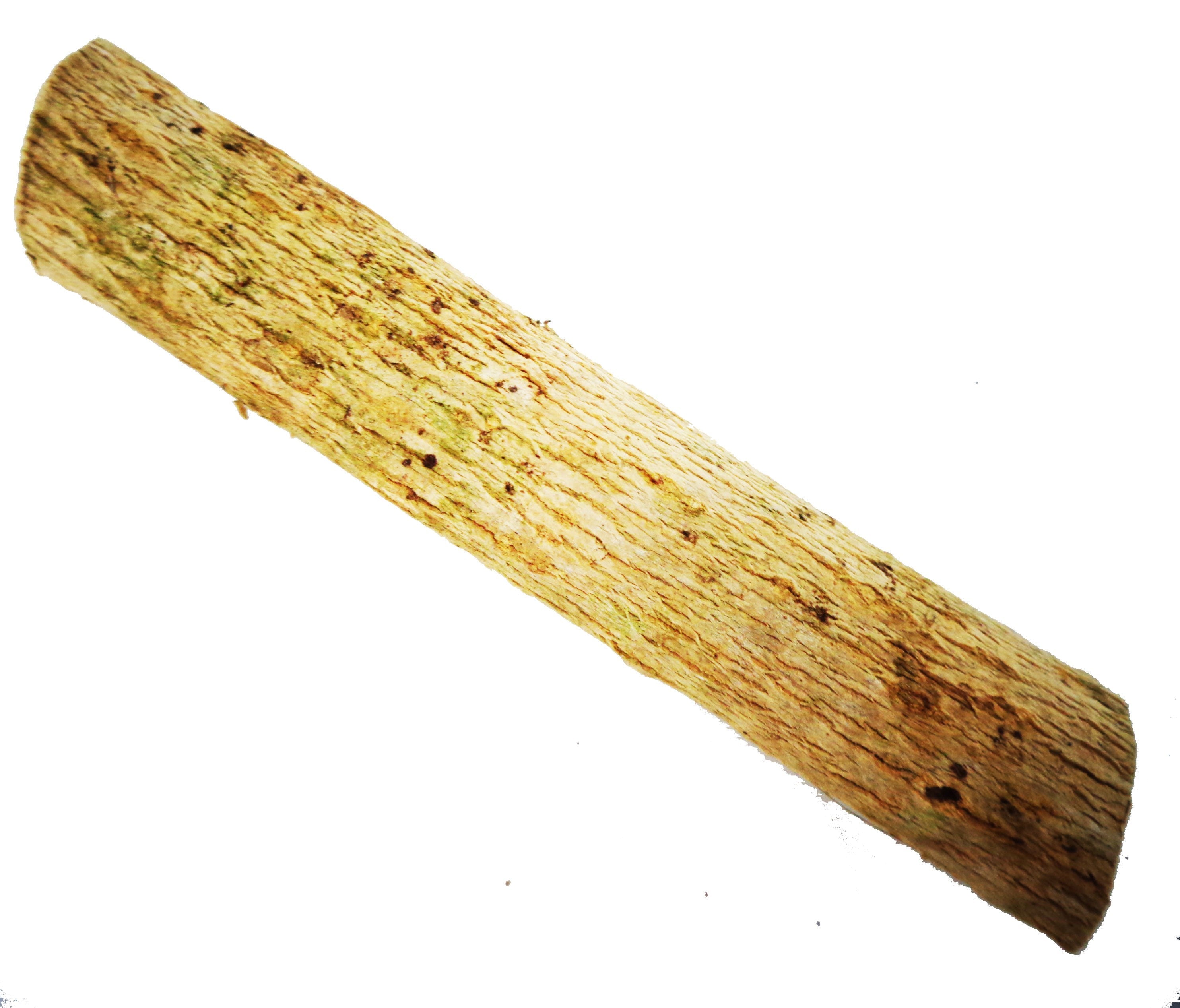 Stick Cañe 5\\" - 6\\" Aprox.